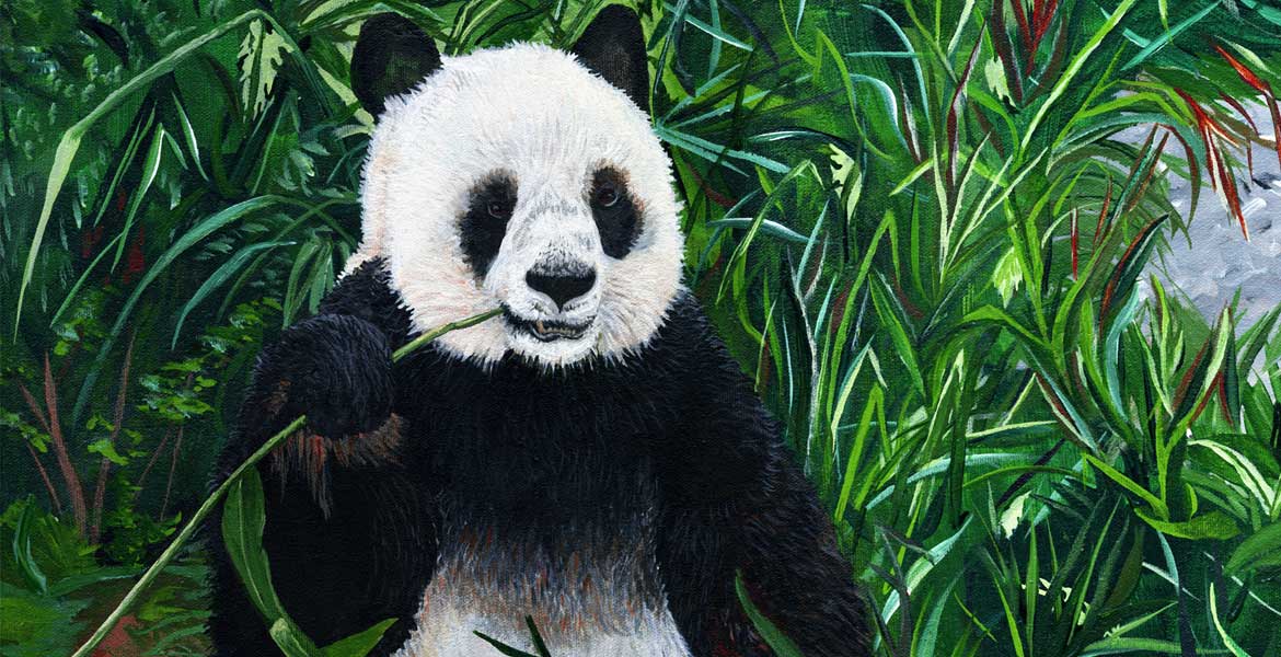 The Art of Judi Moreo